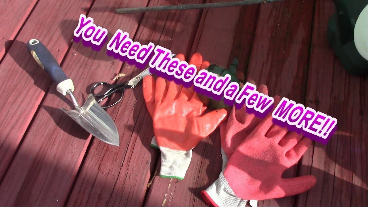 MUST Have Beginner Container Gardener Tools Explained--Spring/Summer ...
