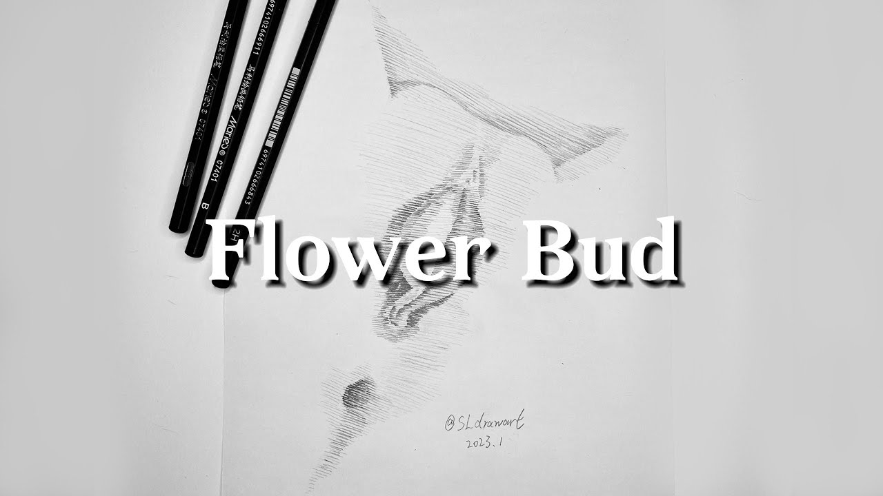 Flower bud Painting / Female drawing / drawing practice / 6x speed ...