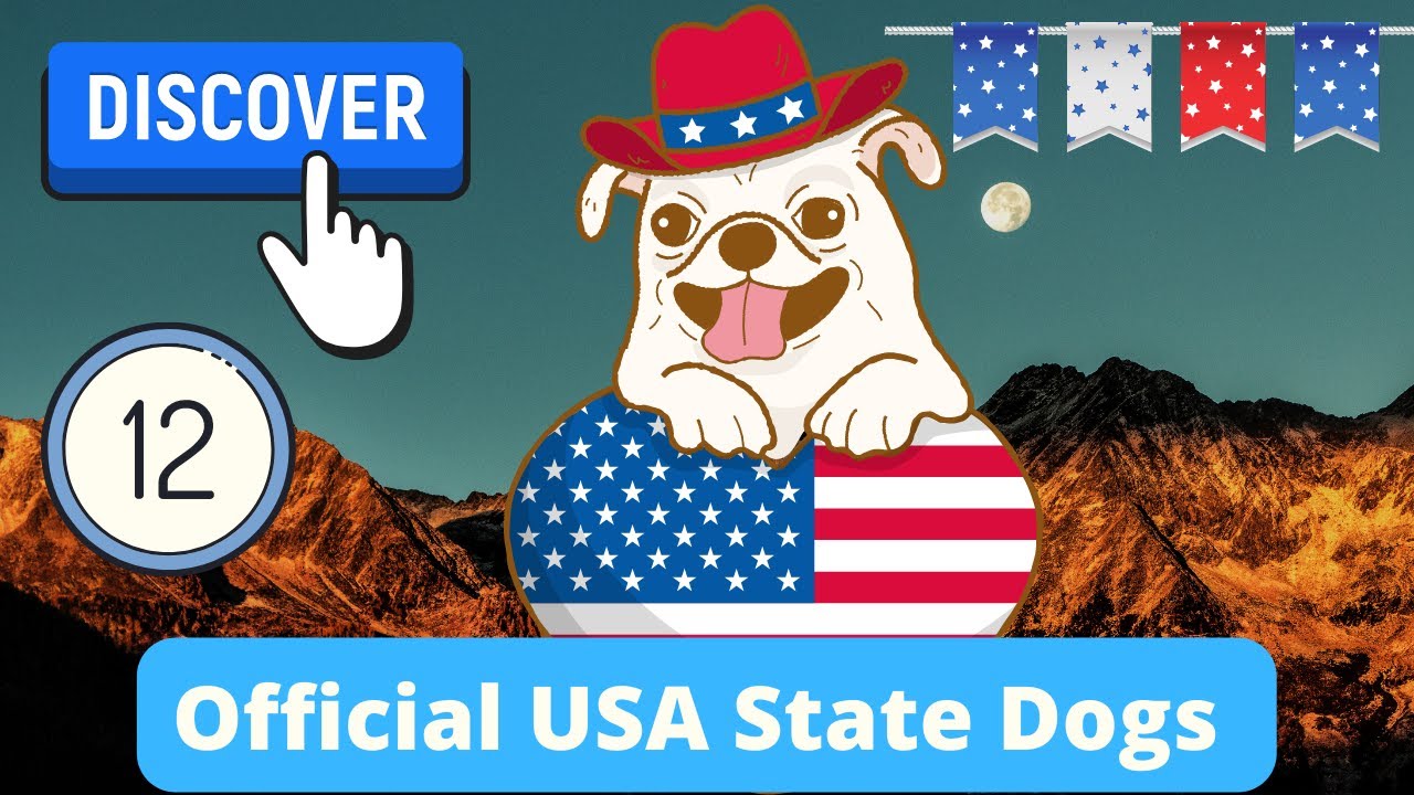 Discover 12 Official USA State Dogs - YouTube