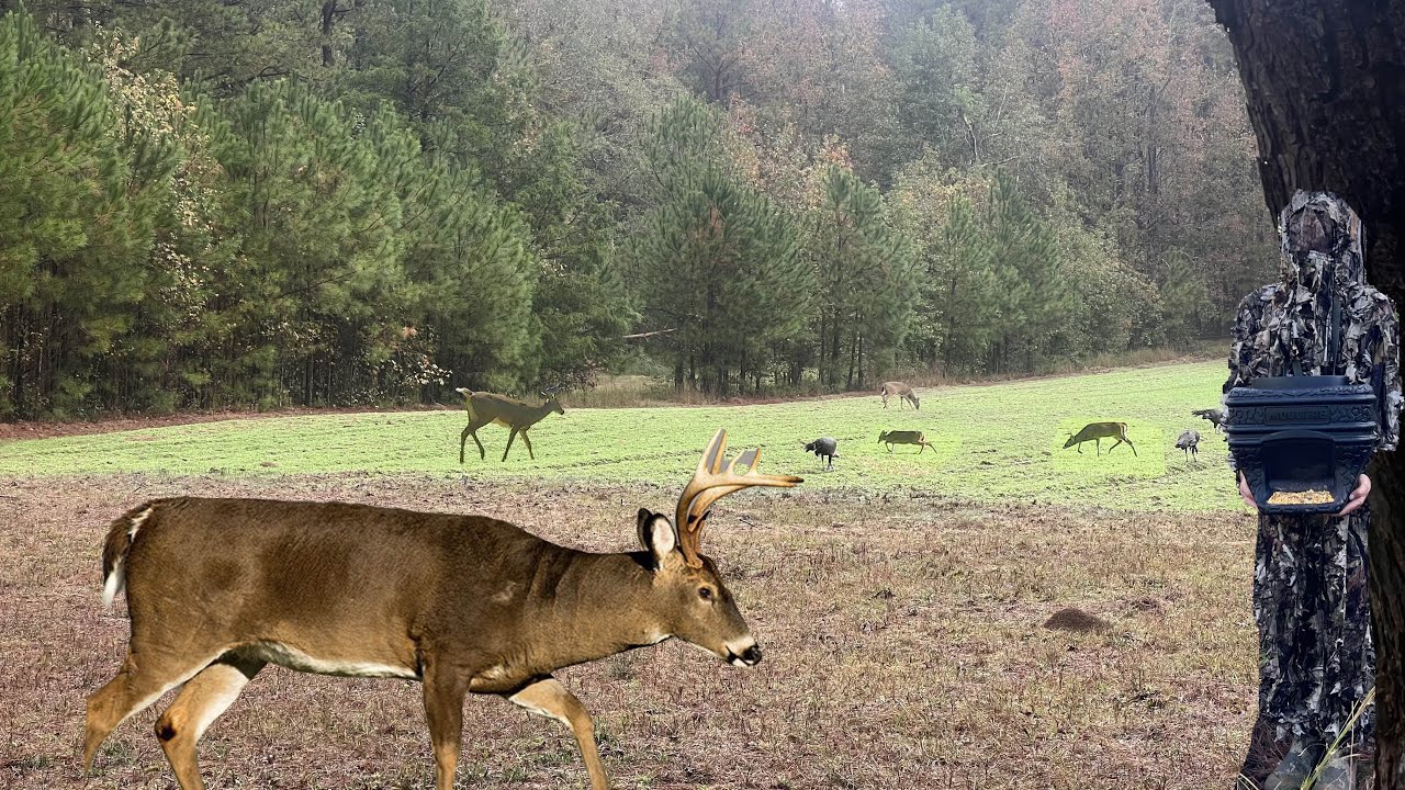 Georgia Deer Hunting in the Heat! #hunting #georgia #deer # ...