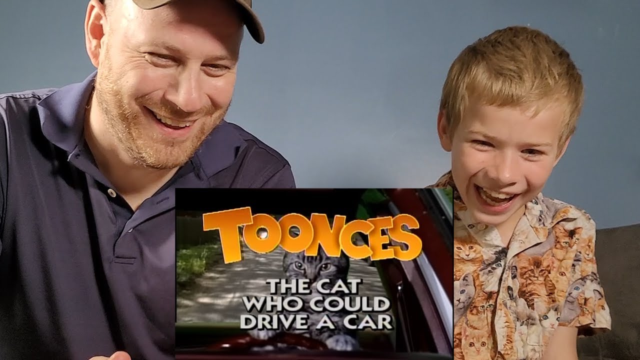 Toonces the Driving Cat: My Son Reacts! - YouTube