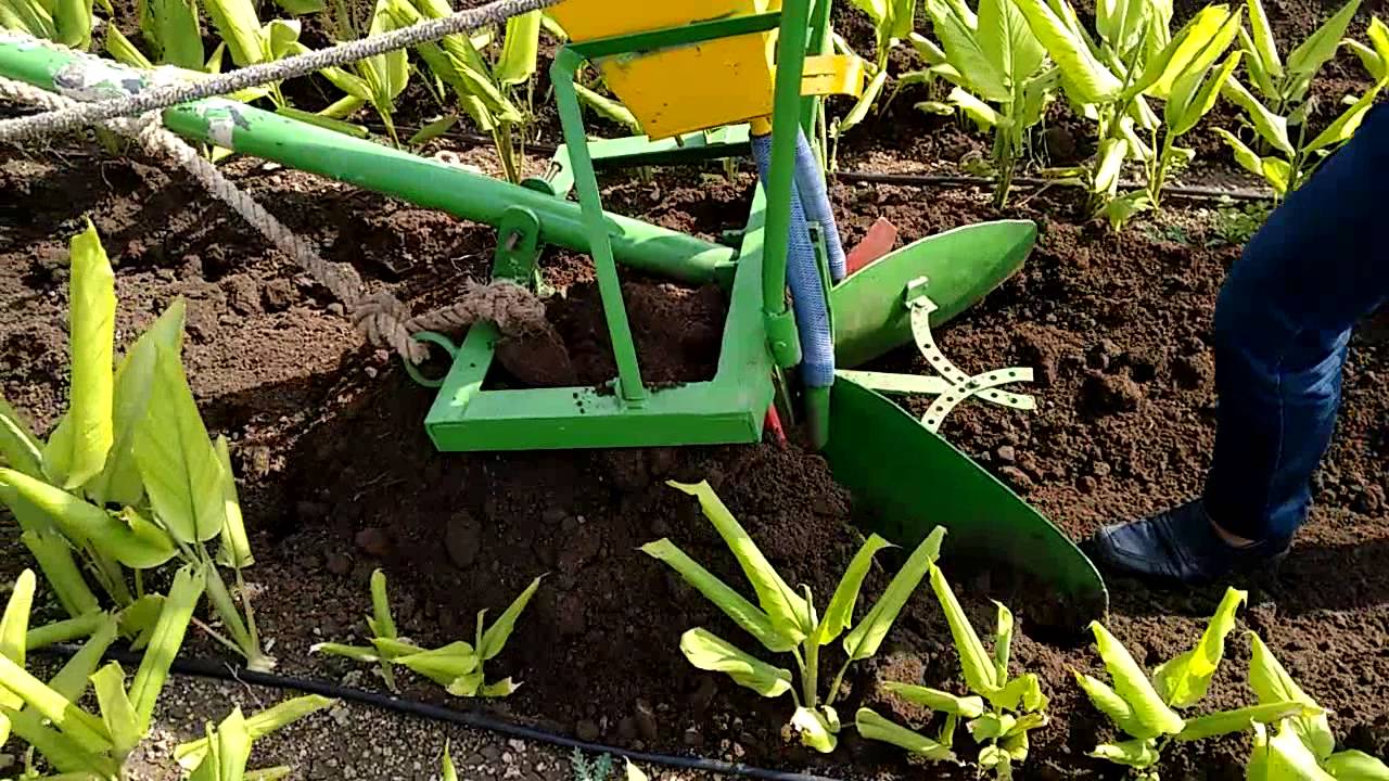 Turmeric bed preparation by earthing up implement - 2 - YouTube