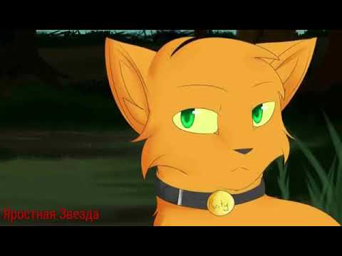 Коты - Воители Огнезвёзд и Песчаная Буря - Болен тобой - YouTube