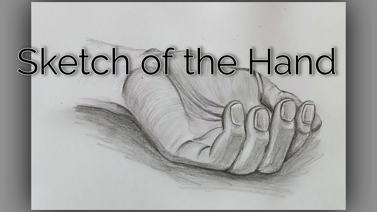 Sketch Of The Hand (Very Simple And Step By Step Method) - YouTube
