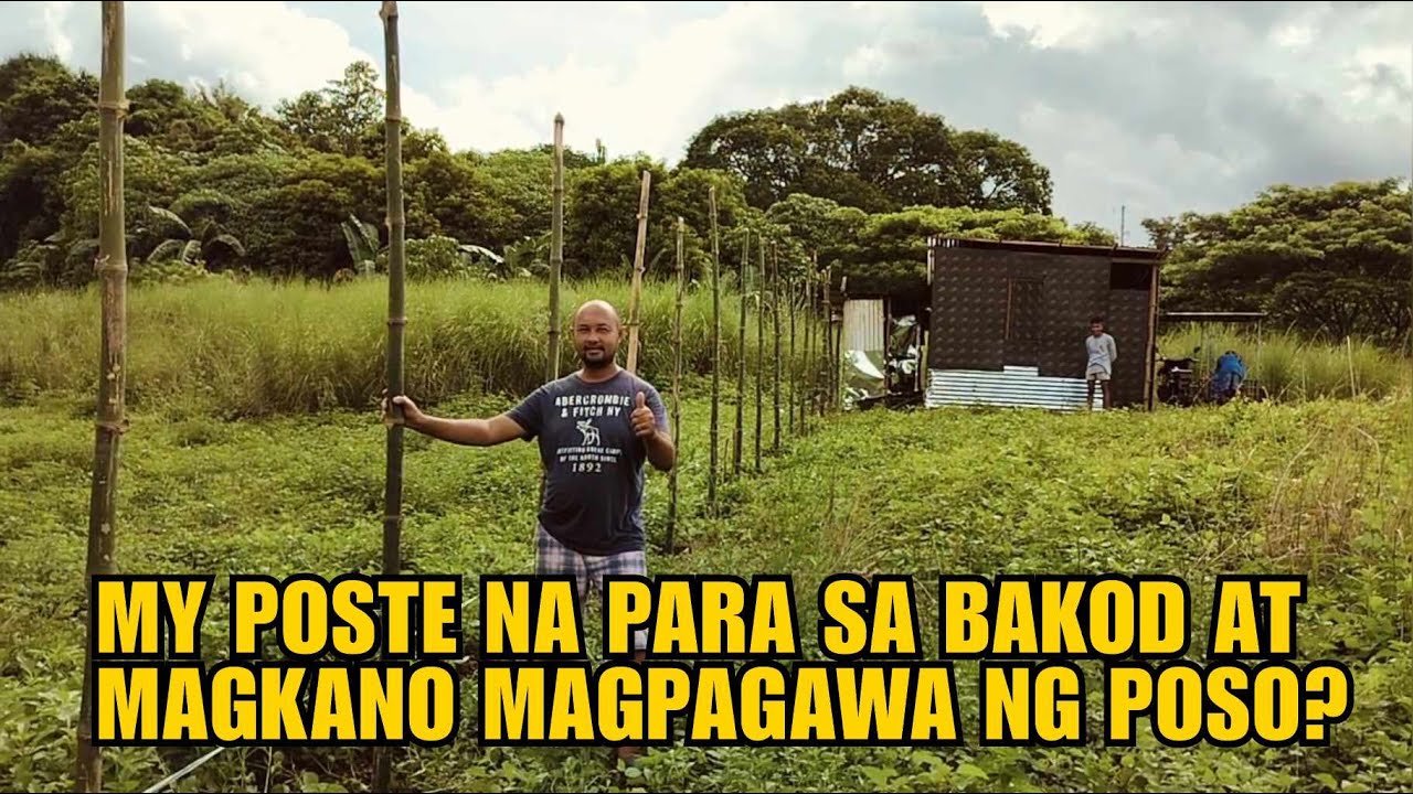MY POSTE NA PARA SA BAKOD AT MAGKANO MAGPAGAWA NG POSO? - YouTube