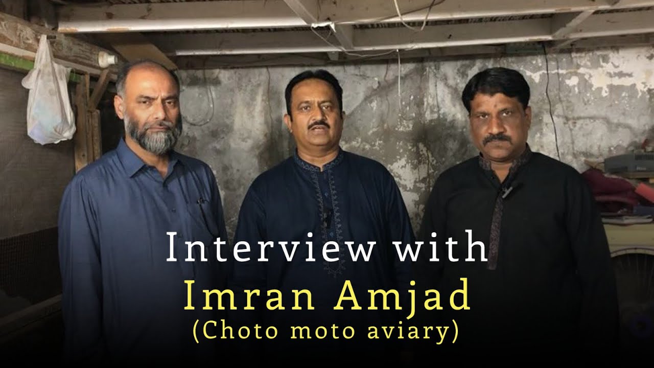 INTERVIEW WITH IMRAN AMJAD | CHOTO MOTO AVIARY | FAISALABAD | @gdaviary ...