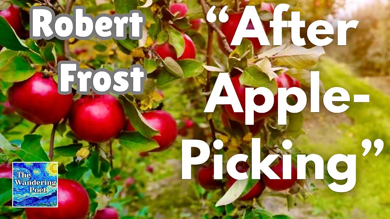 Robert Frost poem "AFTER APPLE PICKING" | wandering poet cafe - YouTube