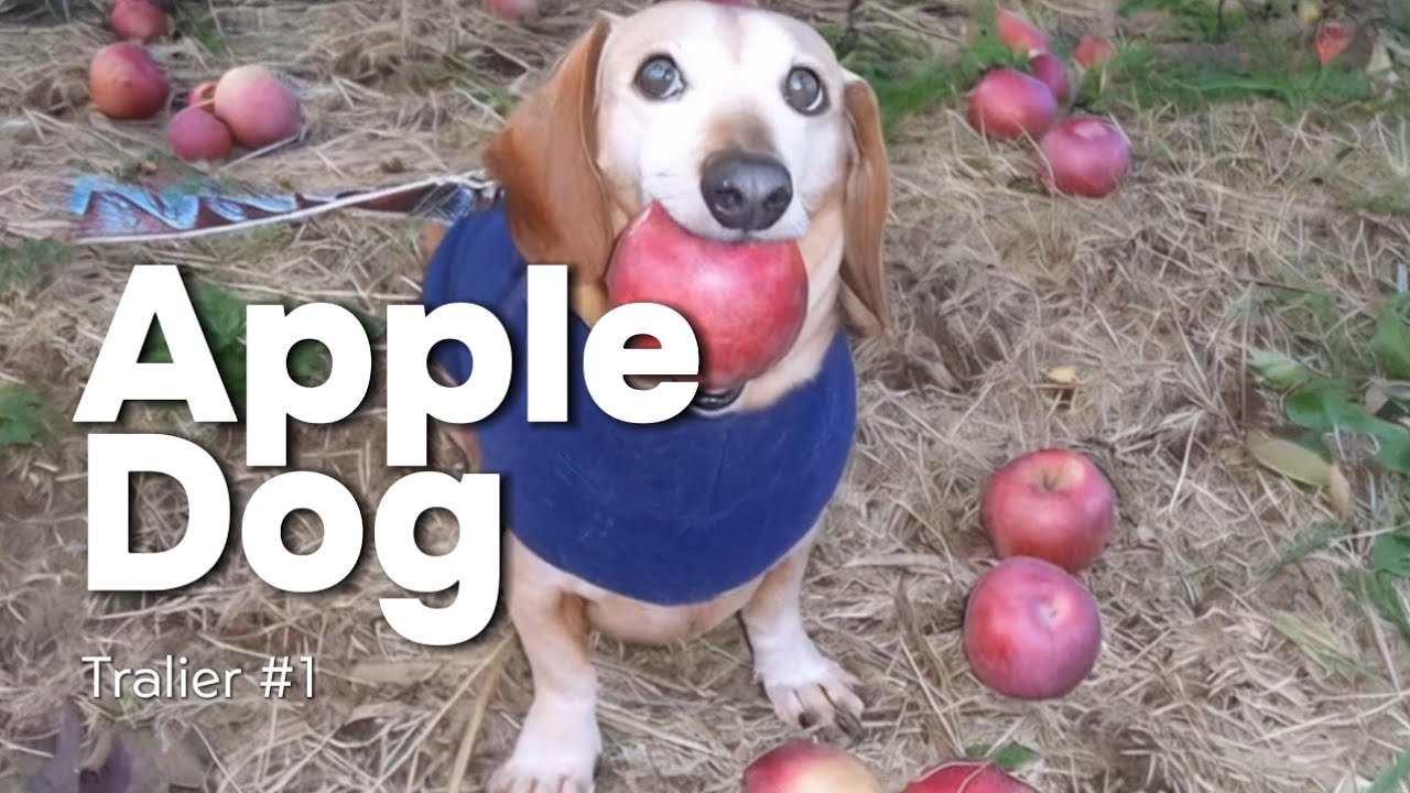 New Apple Dog trailer just dropped #appledog #superman - YouTube