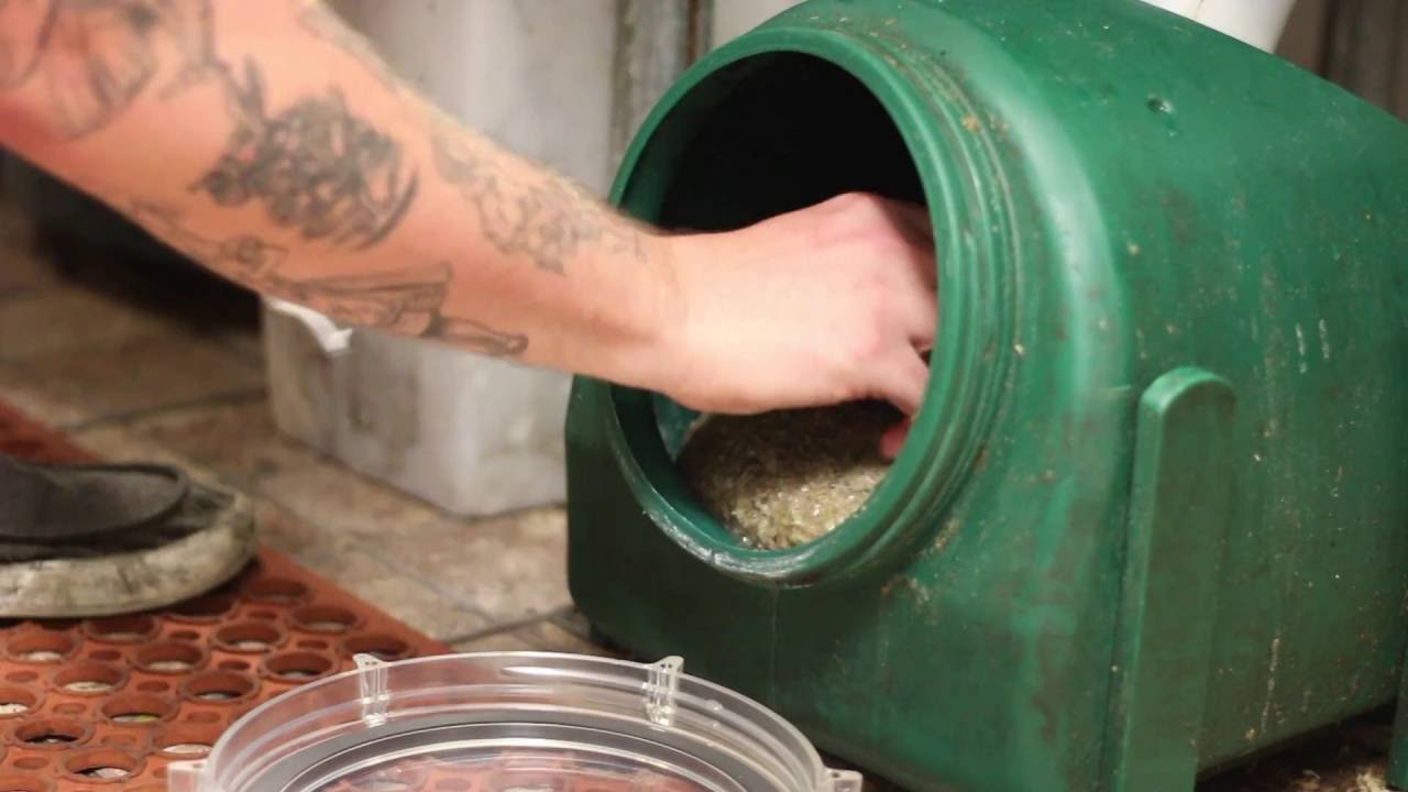 The Rhino Wet Waste Interceptor Filter Change - YouTube