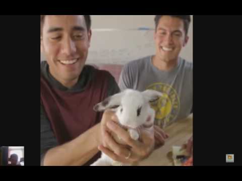 En İyi Vine Sihirbazı Zach King - 2016 Yılı Tüm Vineler