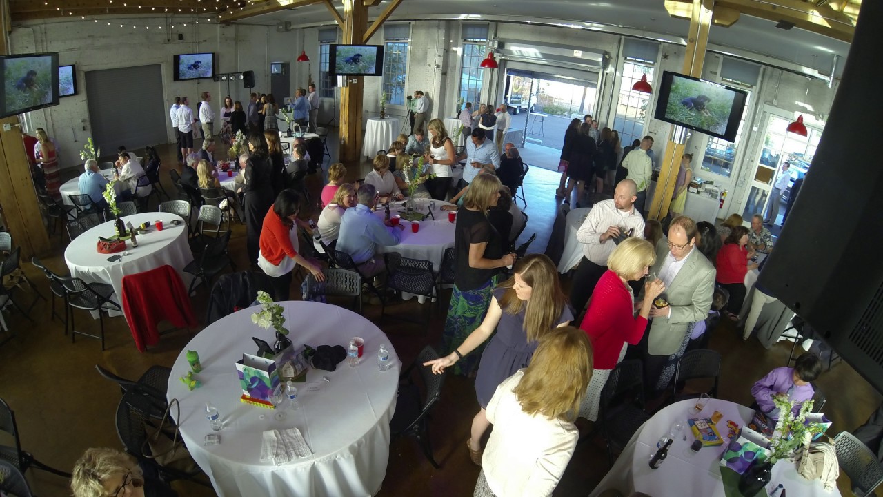 2014 05 17 Wedding Party Time Lapse - YouTube