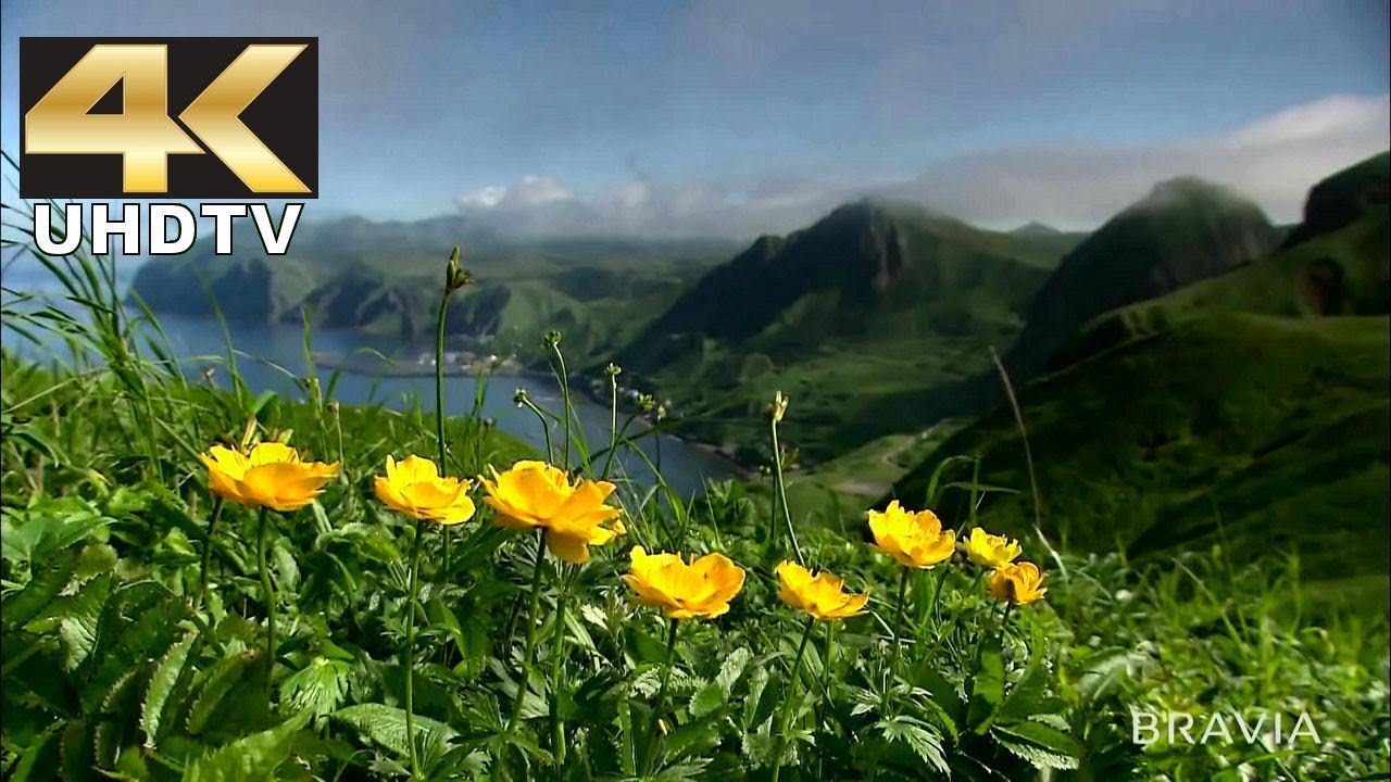 Sony 4K Demo - Rebun Island in Dolby Digital - YouTube