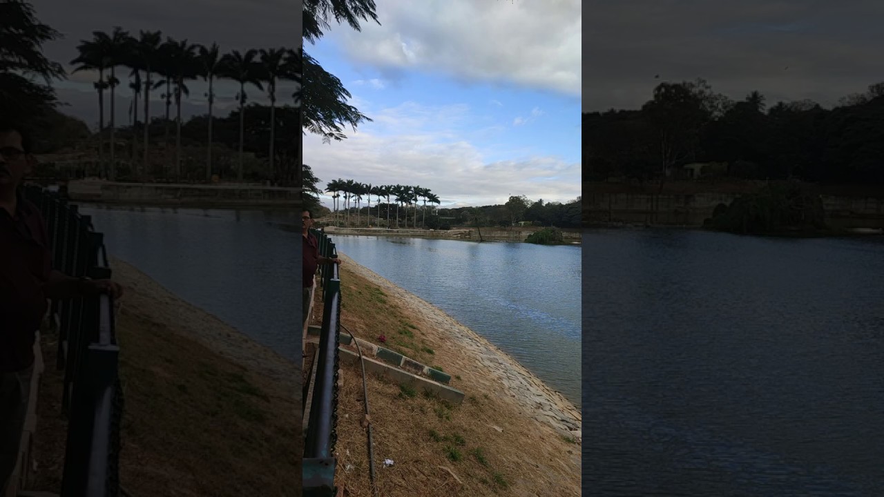 Lake In Lalbagh Botanical Garden, Bangalore - YouTube