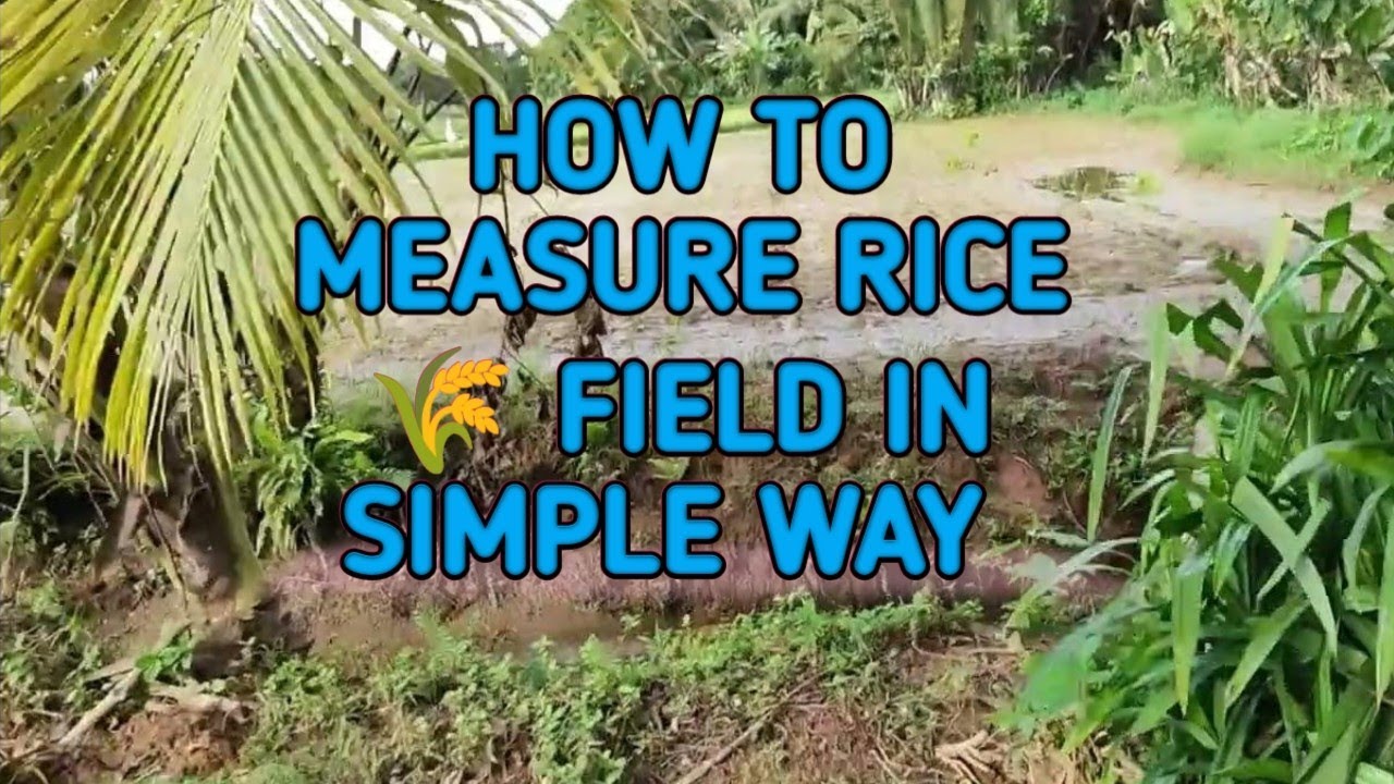 how to measure Rice field using GARMIN #GPS AREA CALCULATION - YouTube