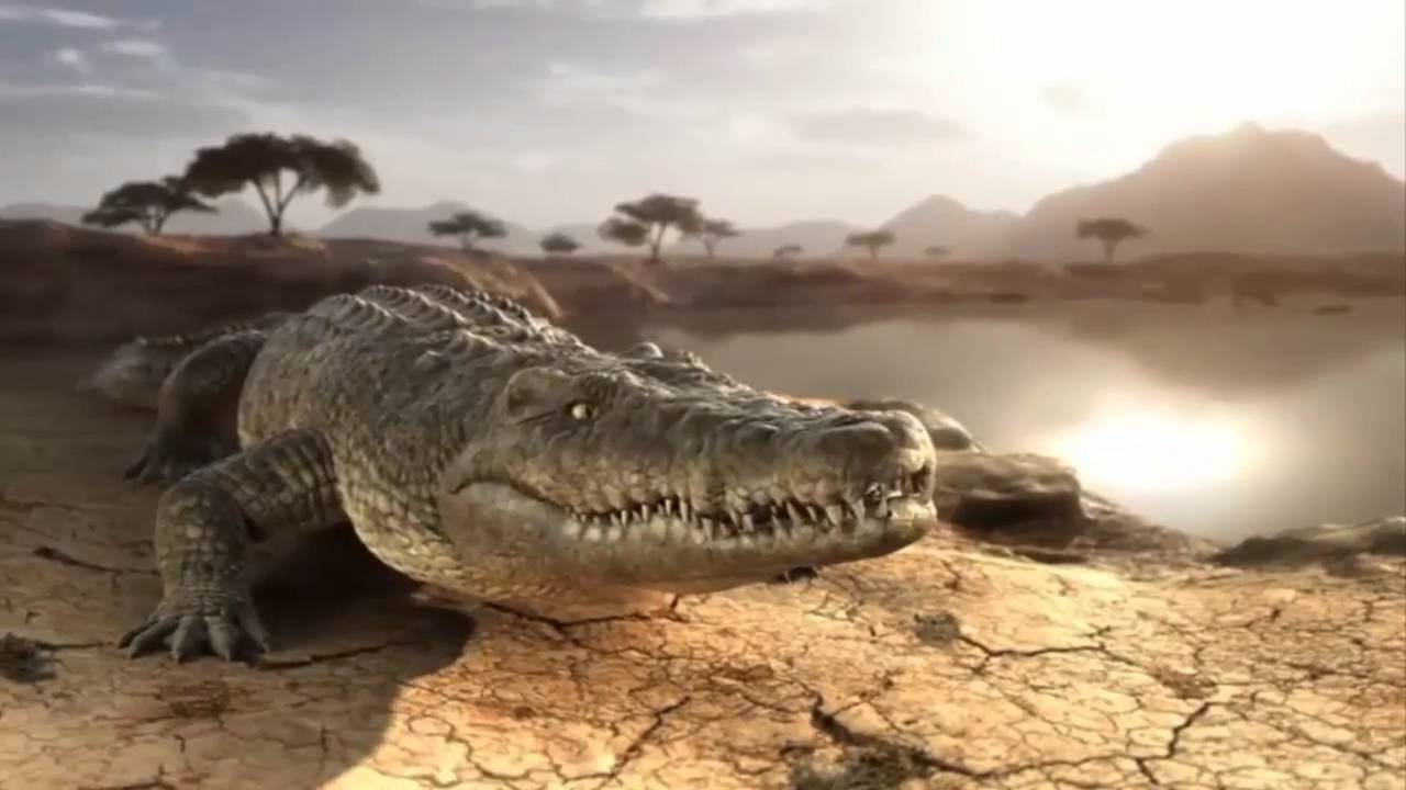 Top 5 Funny Food ads - YouTube