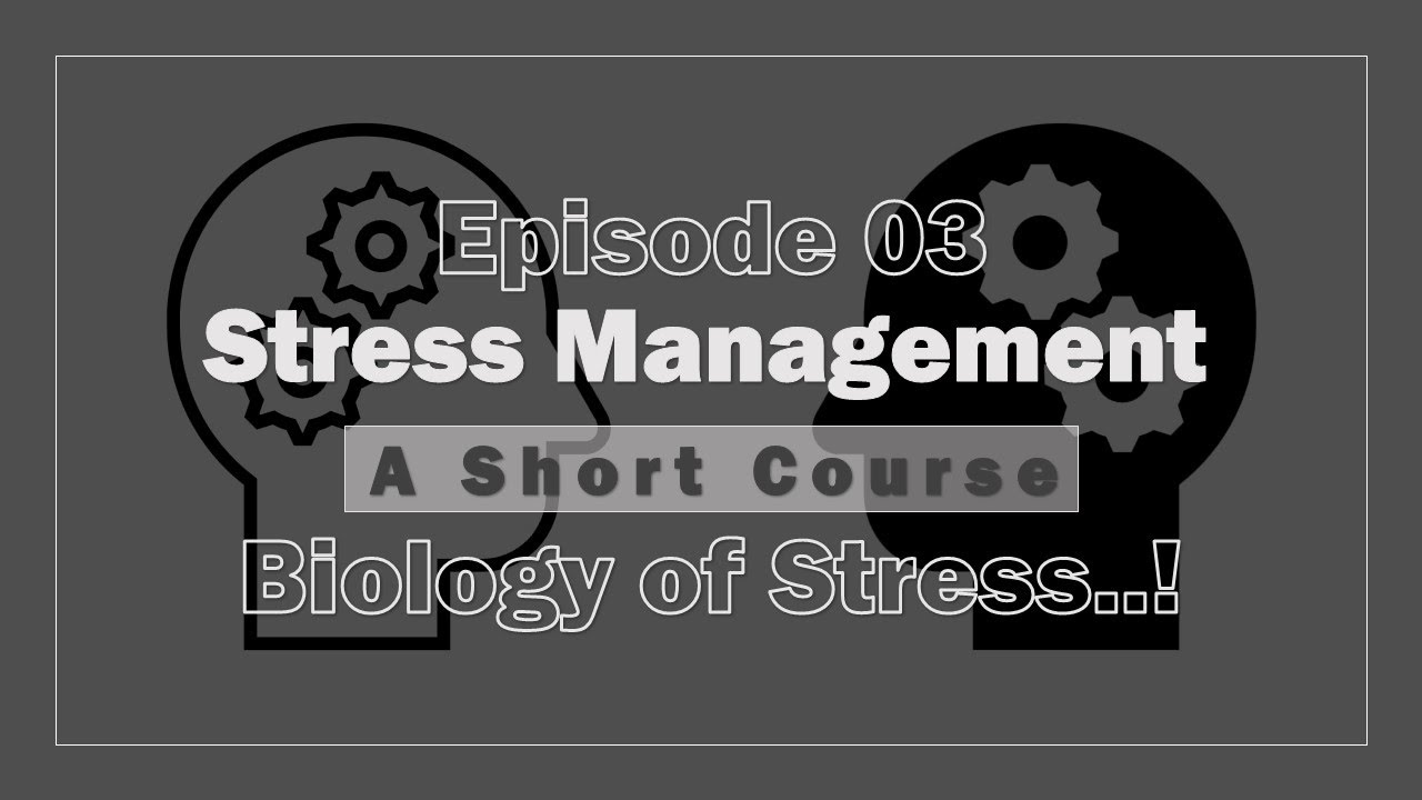 Stress Management | 03 | Biology of Stress | A Short Course | Yahya ...