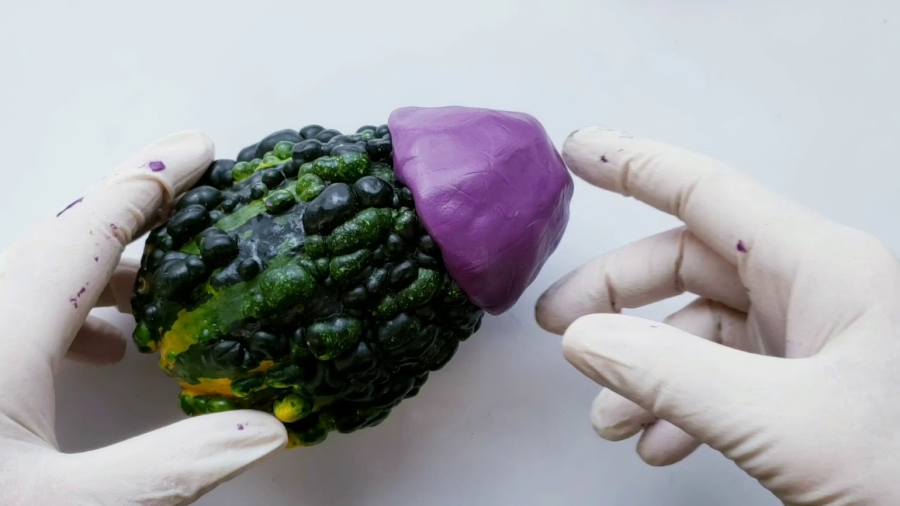 MAKING MOLDS FROM A GOURD USING EASY MOLD SILICONE PUTTY - YouTube