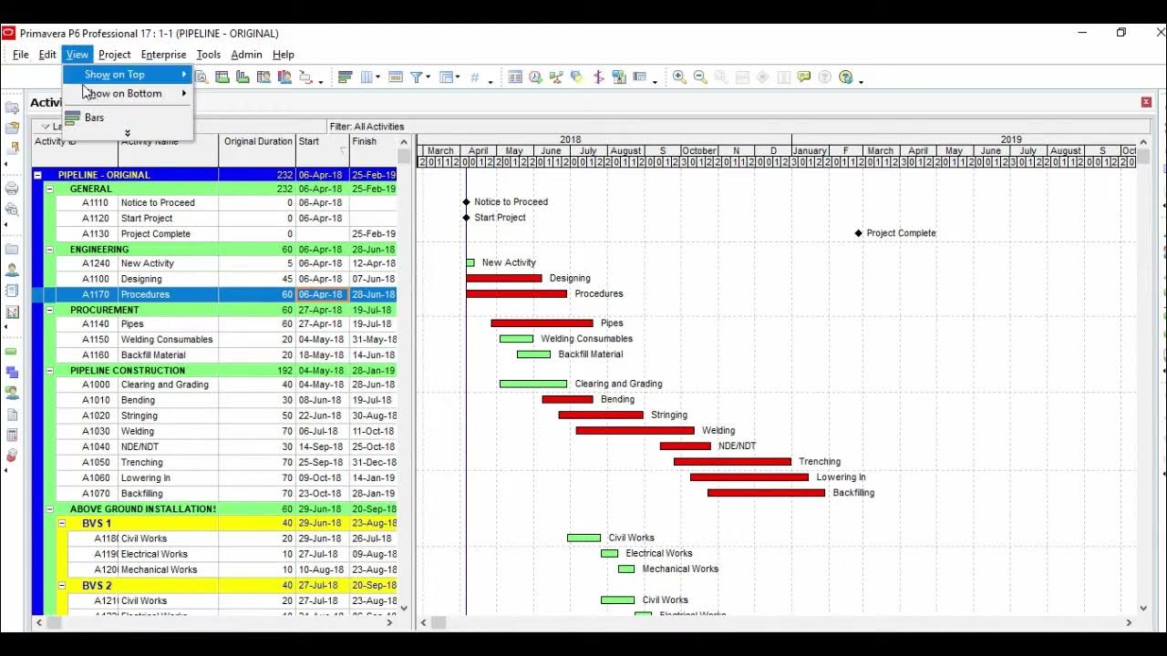 Creating Custom Activity Bars in Primavera P6 | How to change a Gantt ...