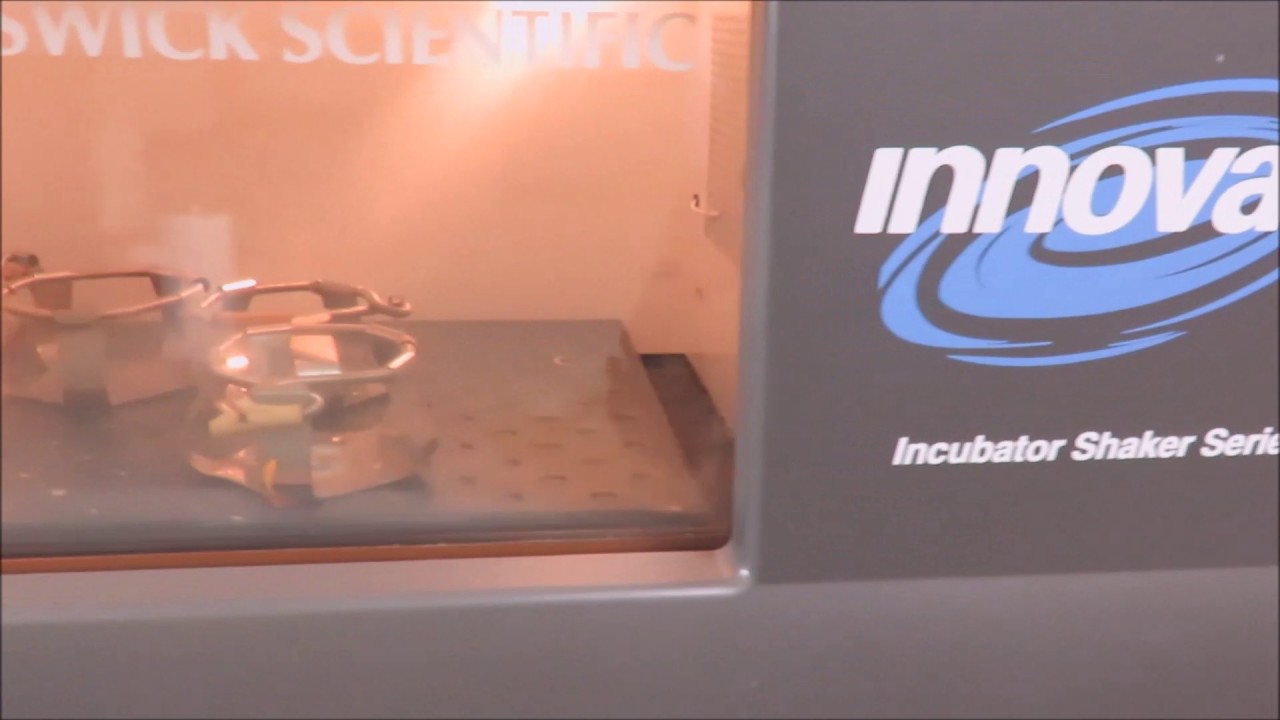New Brunswick Innova 43R Refrigerated/Heating Incubator Shaker - YouTube