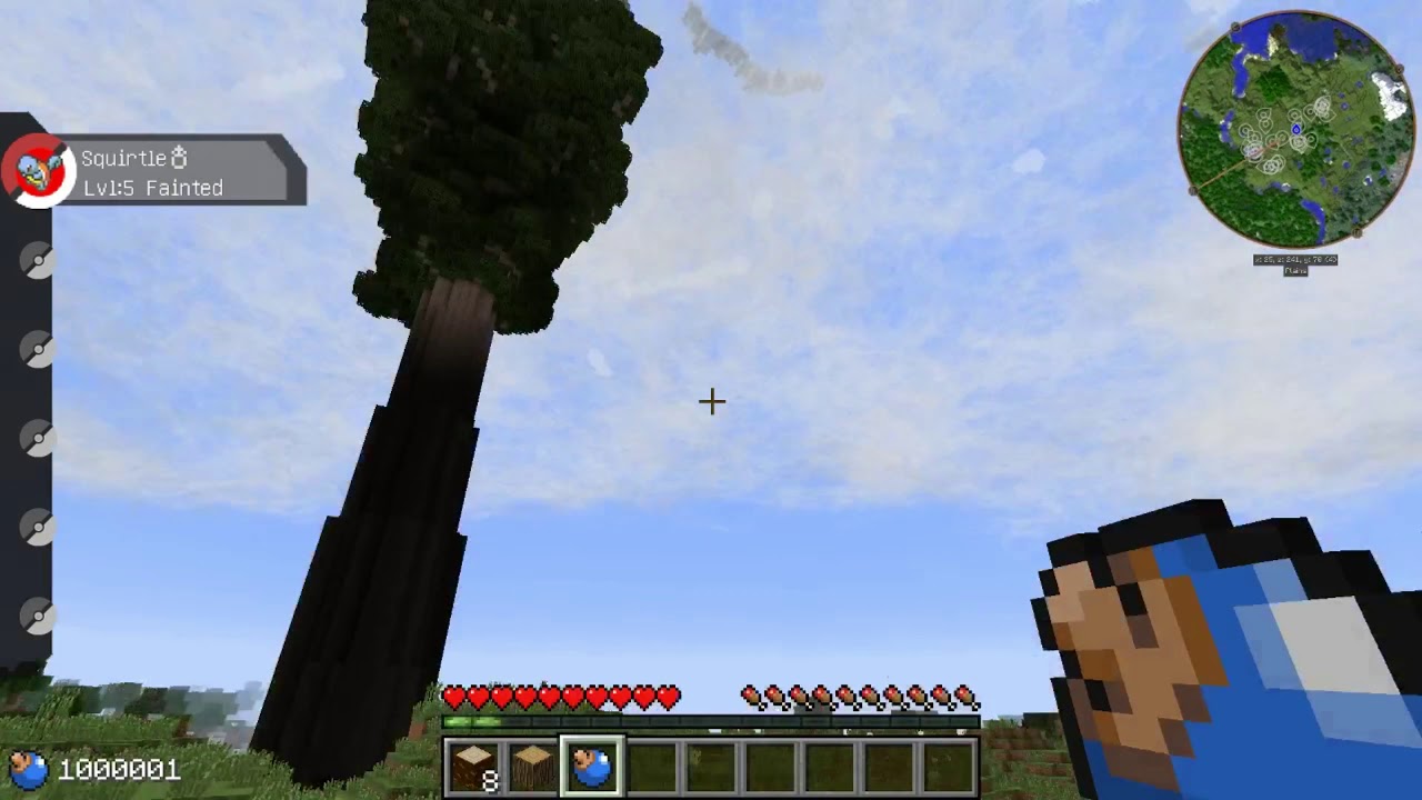 Minecraft gameplay poke pack 2 #2 - YouTube