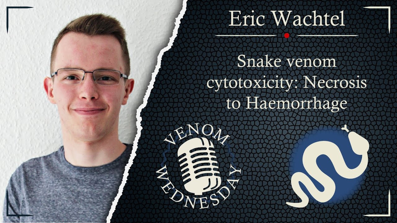 Eric Wachtel • Snake venom cytotoxicity: From necrosis to haemorrhage # ...