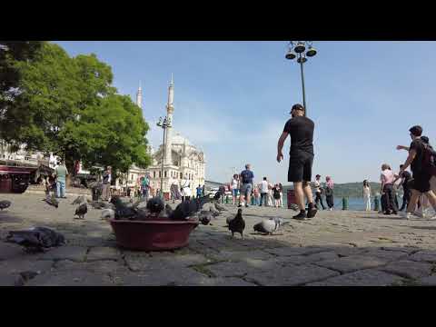 Ortakoey Istanbul Turkey Türkiye Walking Mosque 4K Ultra HD DJI Pocket 2 wide angle lens June 2022
