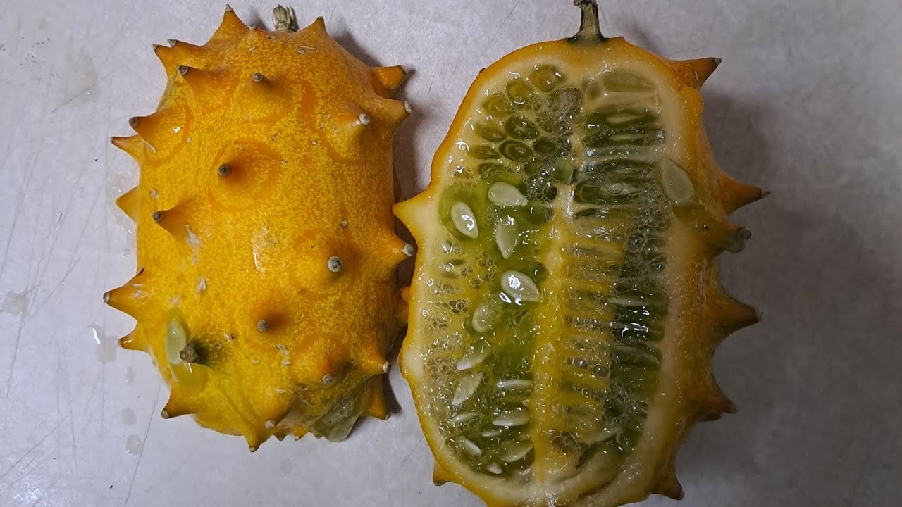 how to eat a Kiwwano and how it looks like inside. #kiwano #gardenlife ...