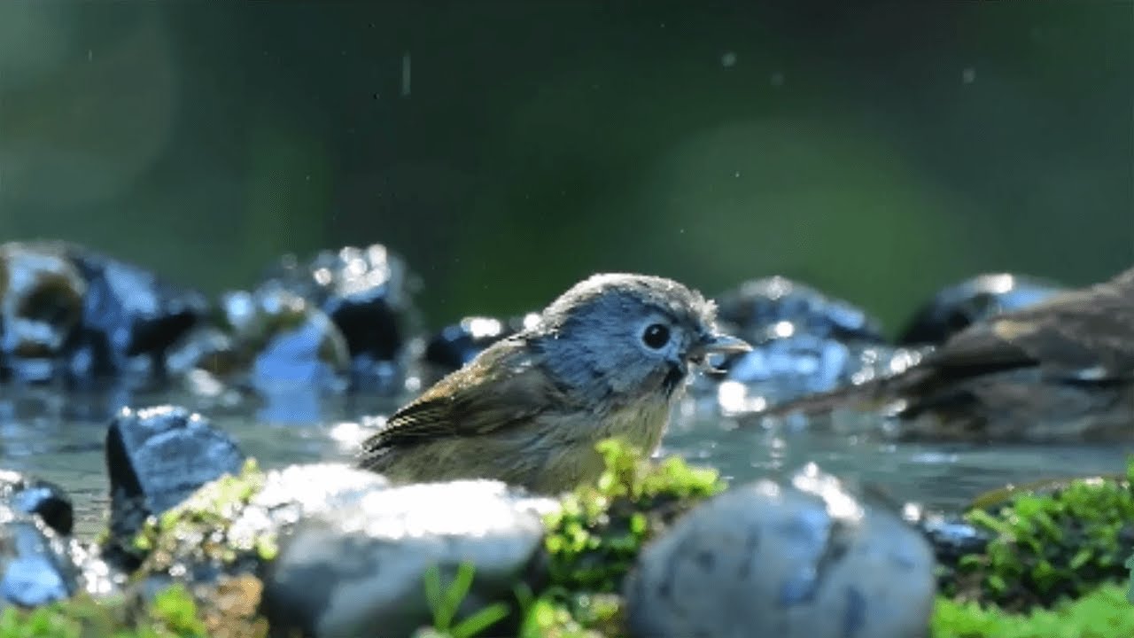 The Wonders of Shapingba in 90 seconds - YouTube