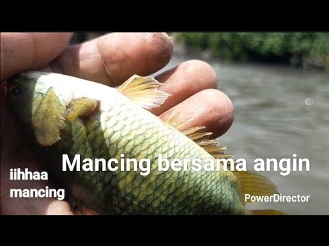 Mancing bersama angin - YouTube