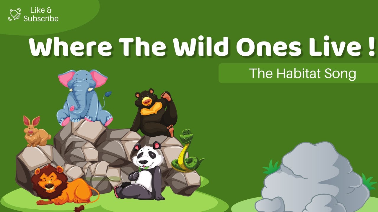 The Habitat Song | Where The WIld Ones Live| Simple SOngs for Kids ...