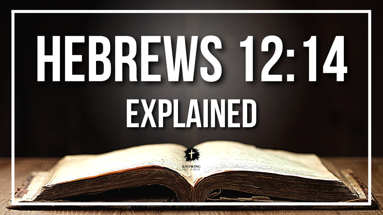 HEBREWS 12:14 Explained | HEBREWS 12:14 Meaning According to the Bible ...