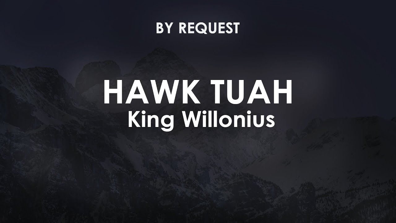 Hawk Tuah | King Willonius - YouTube