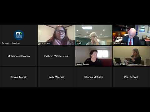 January Meeting of the Minnesota Sentencing Guidelines Commission - YouTube