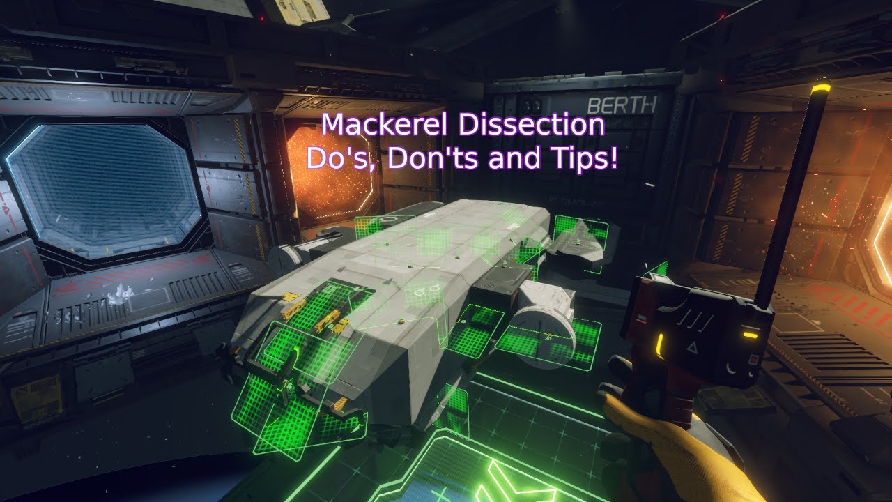 Mackerel Dissection Tutorial - Hardspace Shipbreaker - YouTube