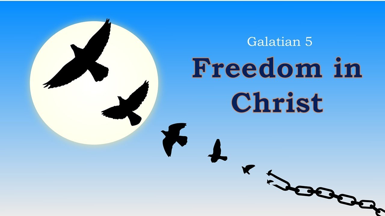 Freedom in Christ (Galatian 5) - YouTube