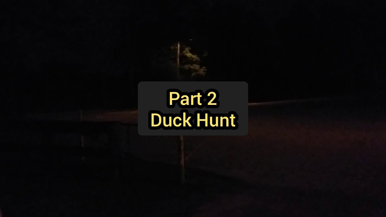 Part 2 Duck Hunt ( 2000 👎 for Part 3 ) - YouTube