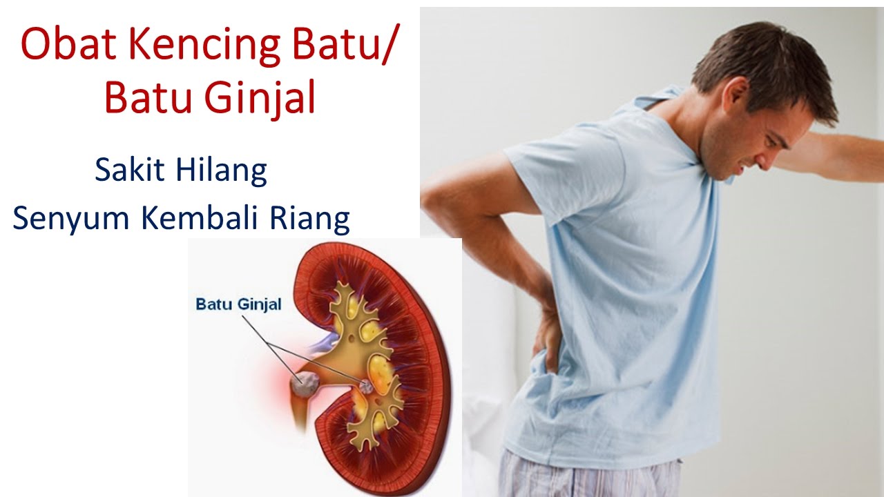 Obat Kencing Batu Mujarab di Surabaya 082242245843 - YouTube