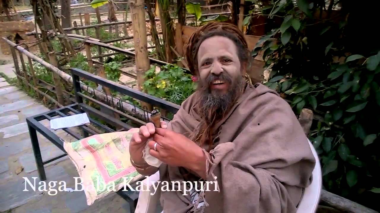 Baba's Ganja garden - YouTube