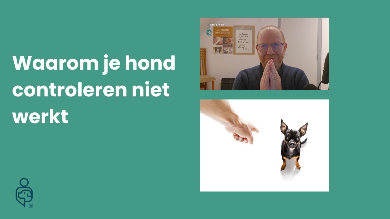 Waarom je hond controleren niet werkt - YouTube