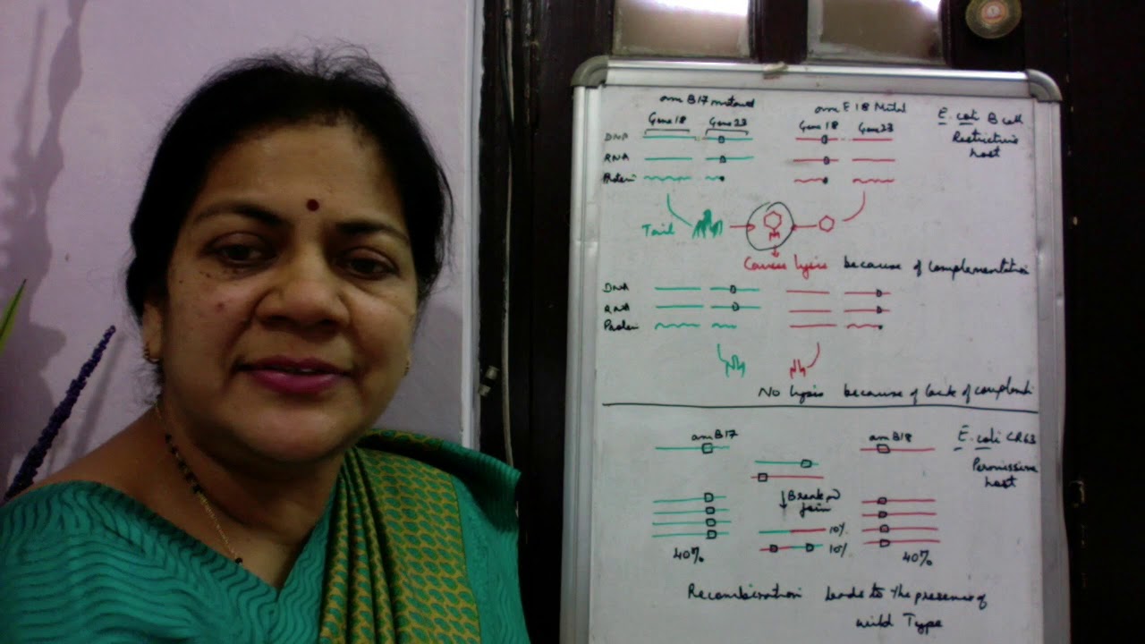 complementation test part 2 - YouTube
