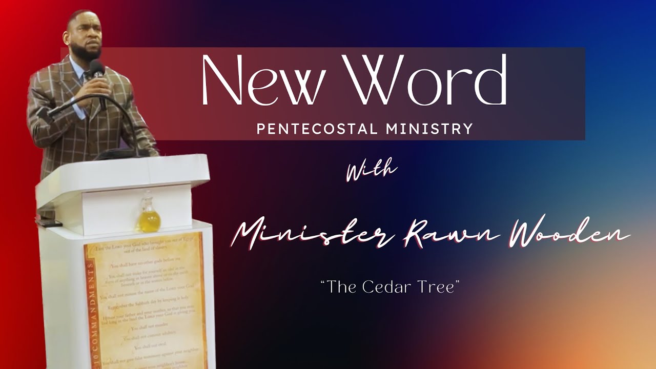The Cedar Tree Part II - YouTube