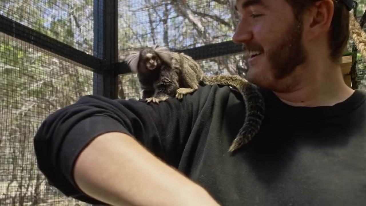 Jschlatt meets a little monkey - YouTube
