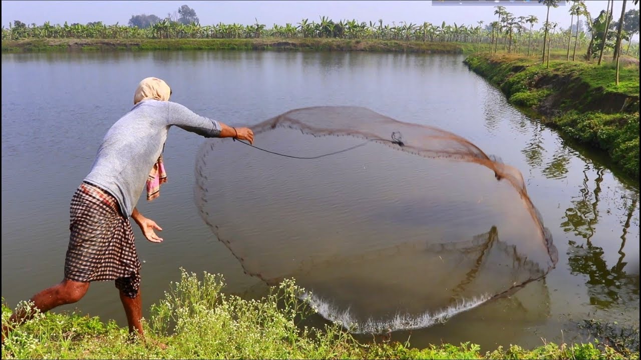 Cast Net Fishing|Traditional Cast net fishing| Fisherman Catching lot ...