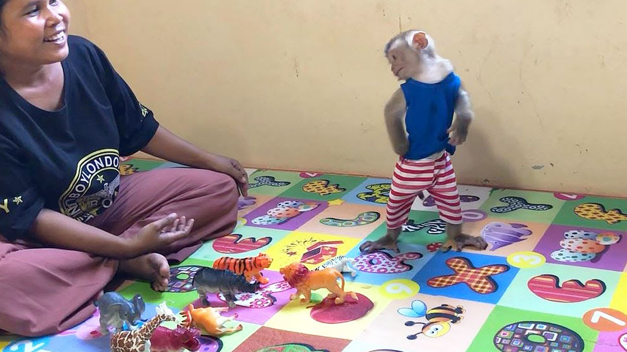 Jason Lovely Attitude Slow Mo Walk Dance When Mom Singing Congrats With ...