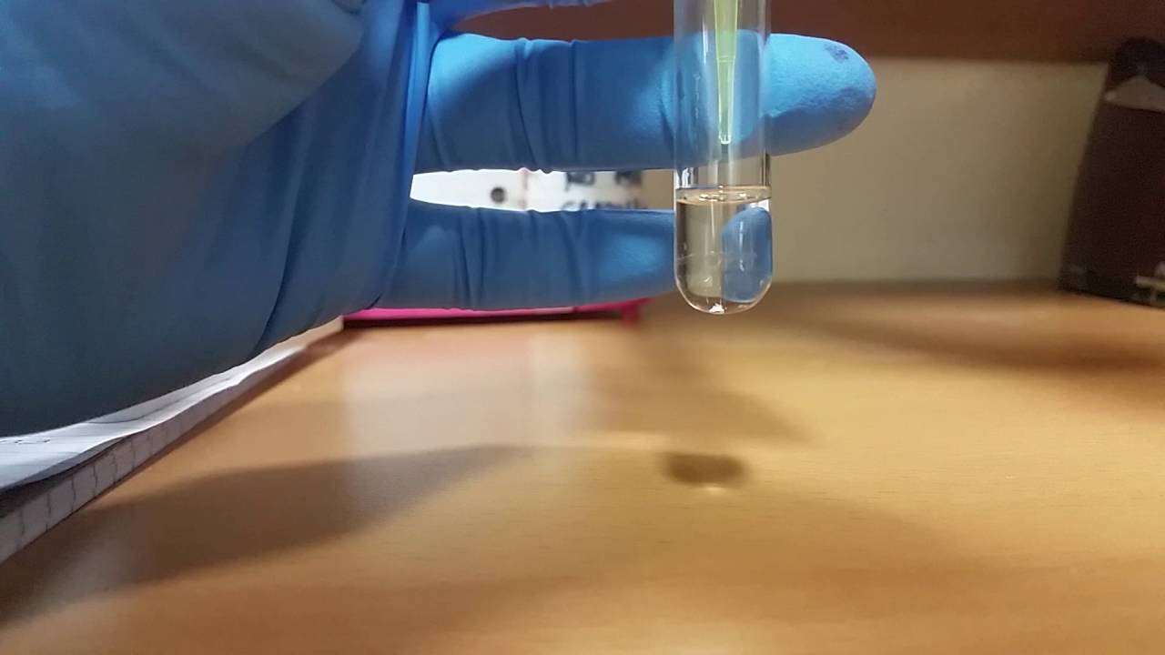 Reacción de pandy positiva - YouTube