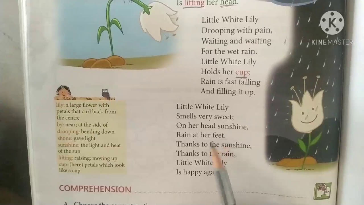 GRADE I - ENGLISH ( VIDEO 21 - POEM - WHITE LILY) - YouTube