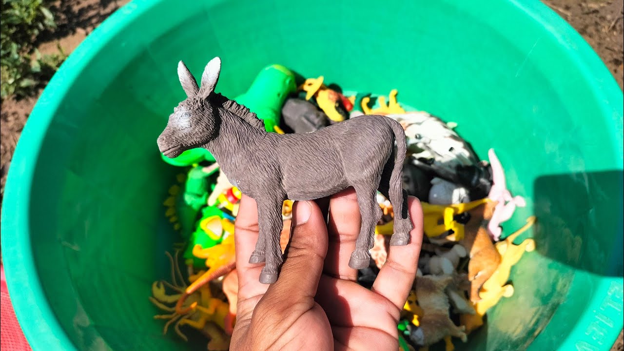 Plastic Animals Toys Collection Video Donkey, Horse, T-rex, Elephant ...