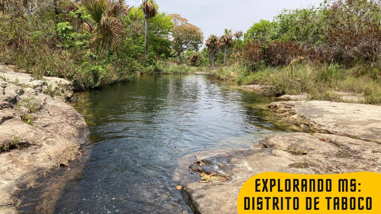 Descubra um Rio de Água Cristalina e Cachoeiras Exuberantes em ...