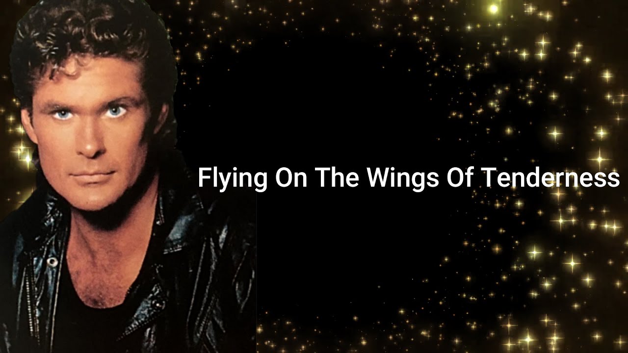 ღ💖♡ Flying On The Wings Of Tenderness ~ David Hasselhoff ♡💖ღ - YouTube