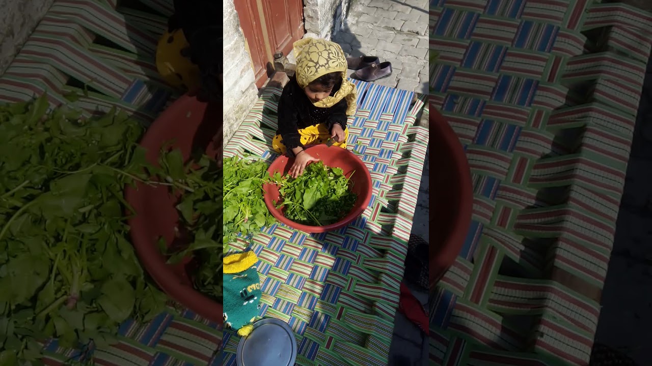 Midhat Fatima clj - YouTube